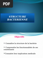 01 Structure Bacterienne | PDF | Bactérie | Cellule (Biologie)