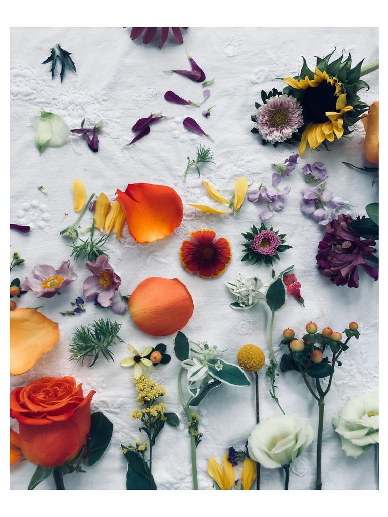 Nicolette Meade RL3F99l0XYE Unsplash | PDF