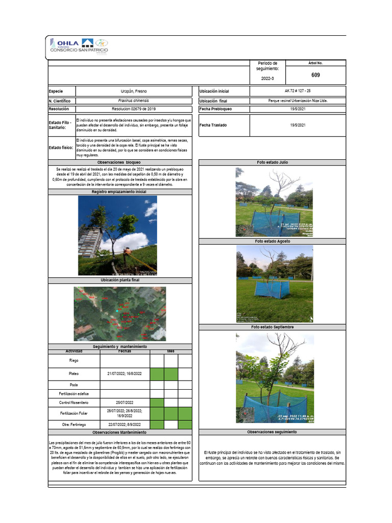 Ficha Seguimiento 609 | PDF | Botánica | Plantas