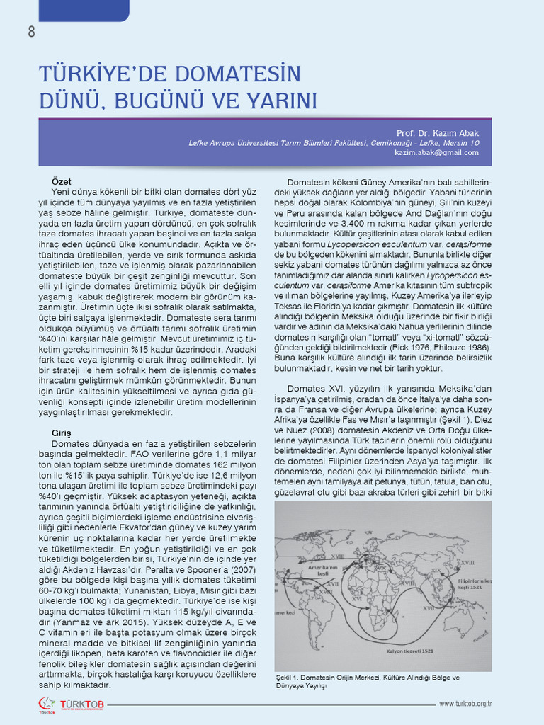 TTOB Dergi17 WEB-8 13 | PDF