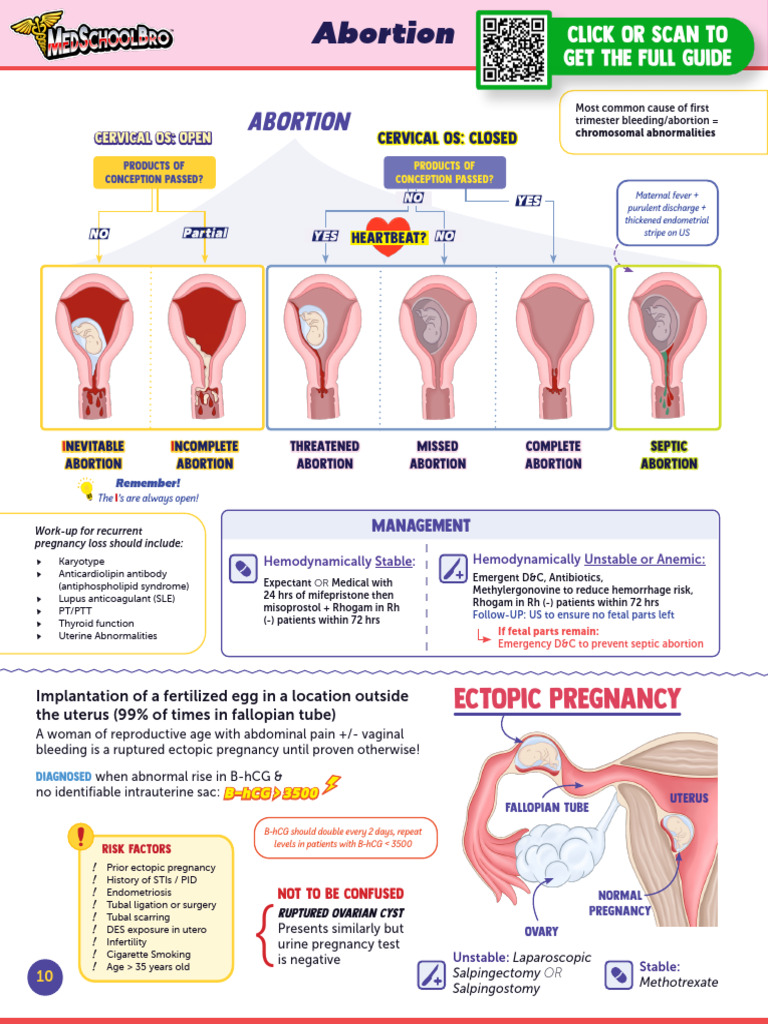 OBGYN Step 2 Free Preview | PDF | Miscarriage | Uterus