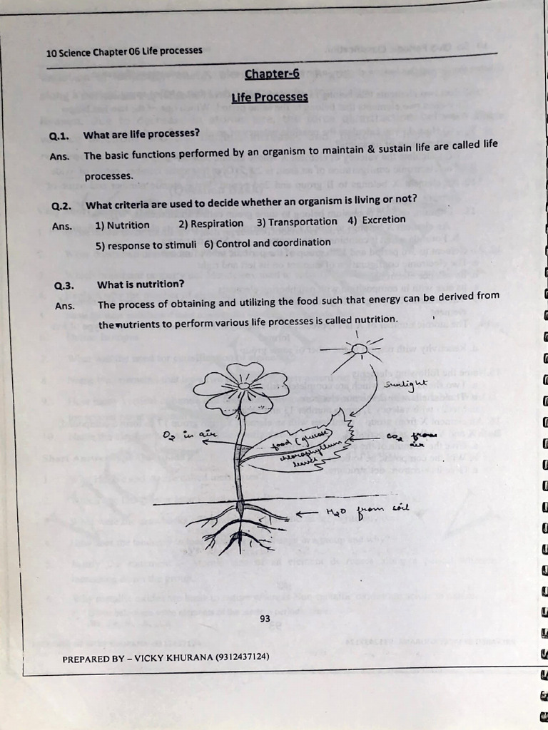 Ch-6 Life Processes | PDF | Cellular Respiration | Digestion