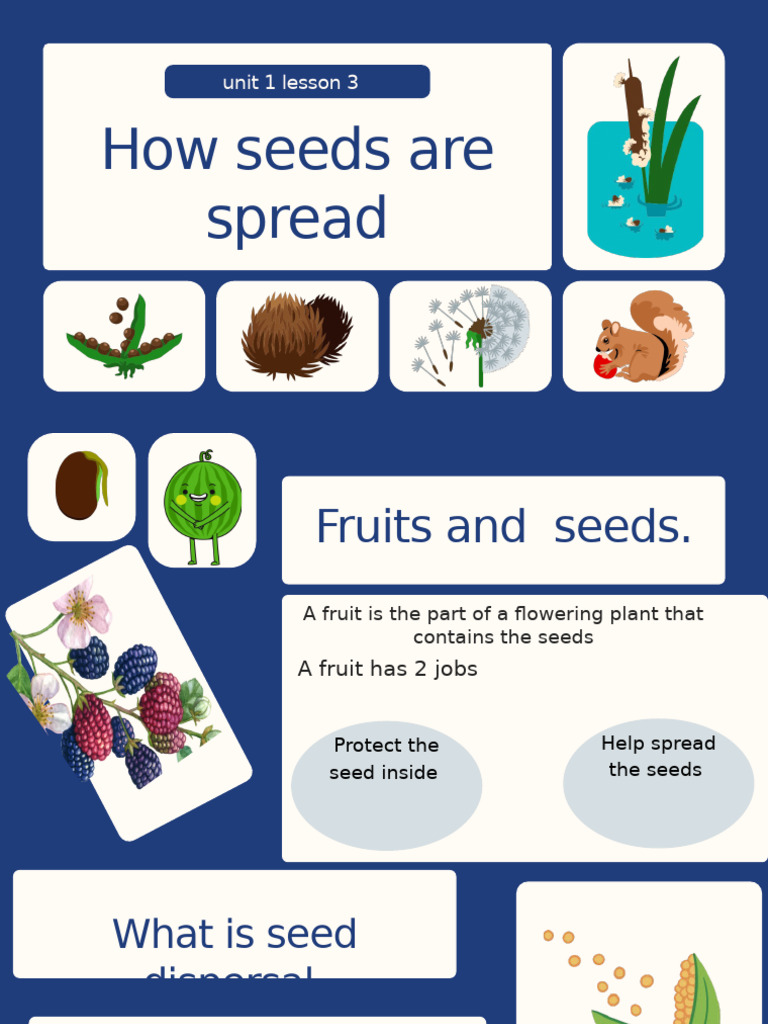 Mechanisms of Seed Dispersal Science Education Presentation in Blue ...
