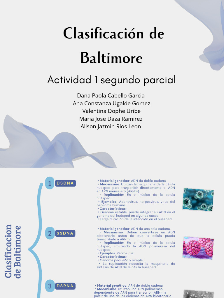 Clasificación de Virus según Baltimore | PDF | Virus | La transcriptasa ...