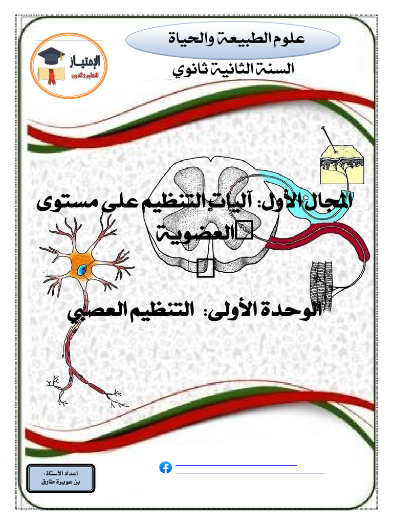 2ع ت التنظيم العصبي 2021 (Réparé) | PDF