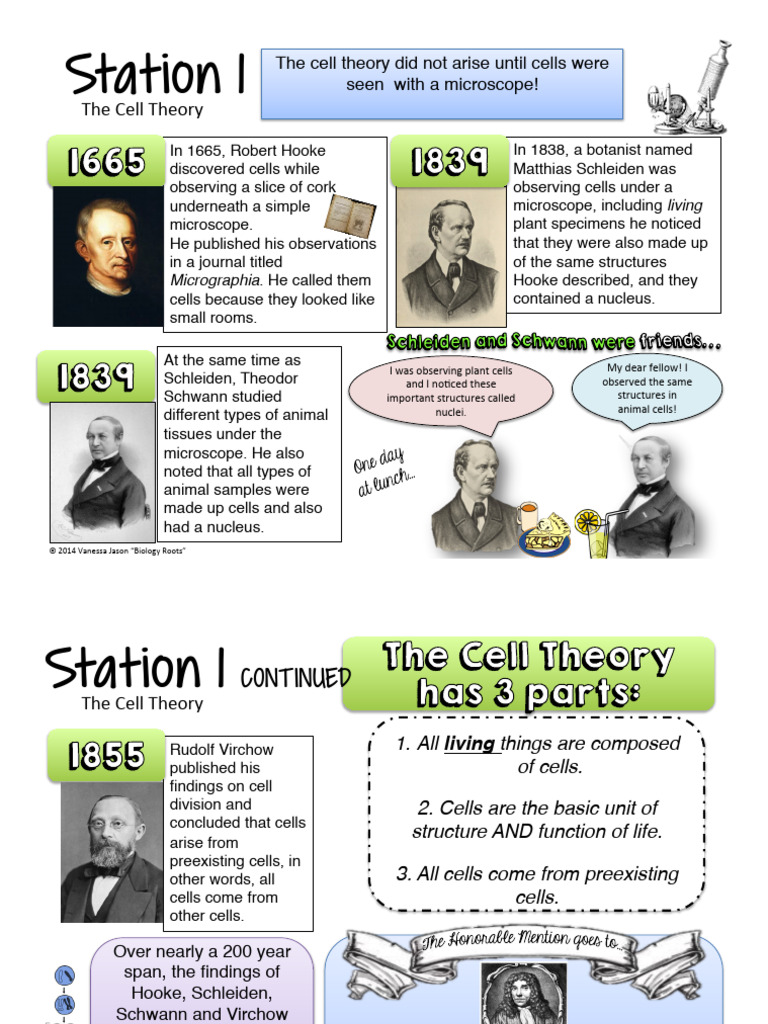 Cell Exhibition Notes-2 | PDF | Endoplasmic Reticulum | Cell (Biology)