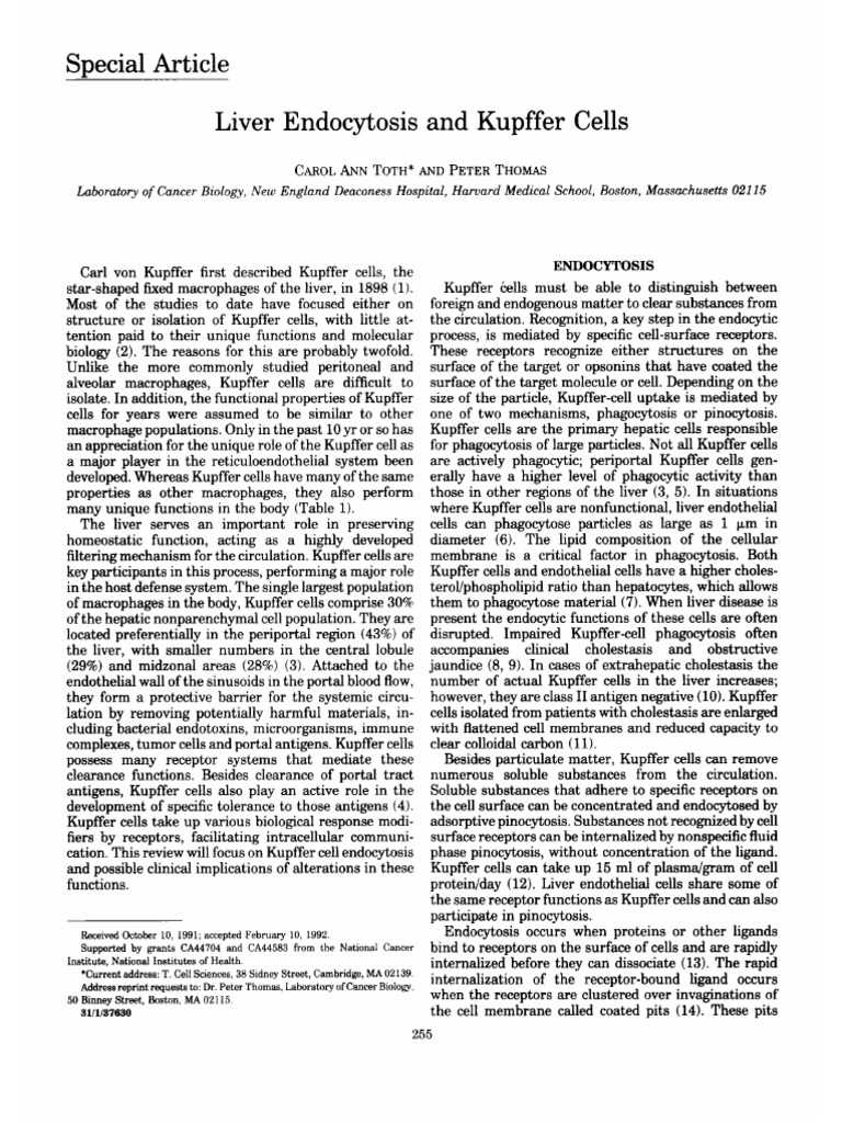 Hepatology - July 1992 - Toth - Liver Endocytosis and Kupffer Cells ...