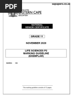 Life Sciences p2 Memo Gr11 Nov 2025 Eng - Watermark | PDF | Photosynthesis | Greenhouse Gas