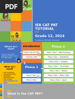 CAT PAT Task Guidelines 2024 | PDF | Spreadsheet | Information