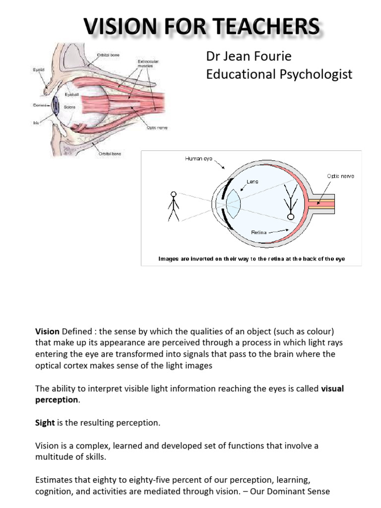 Vision Eye Structure and Function Presentation Dr JFourie | PDF | Visual Perception | Perception