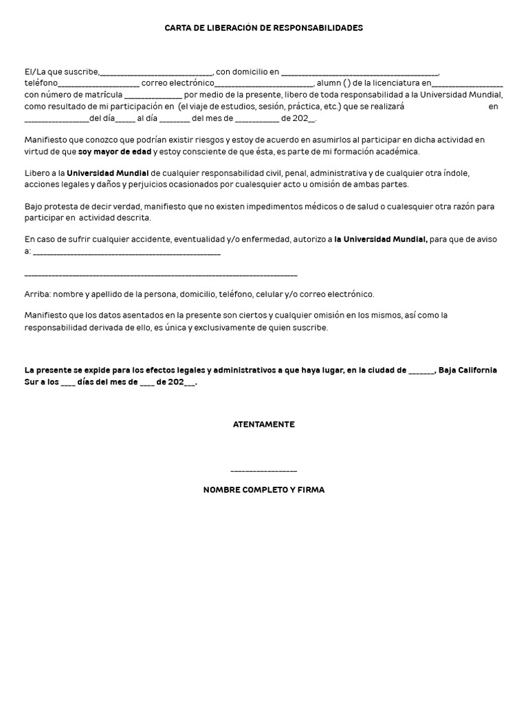 Formato Carta No Responsabilidadesact - Docx 20240805 102005 0000 | PDF