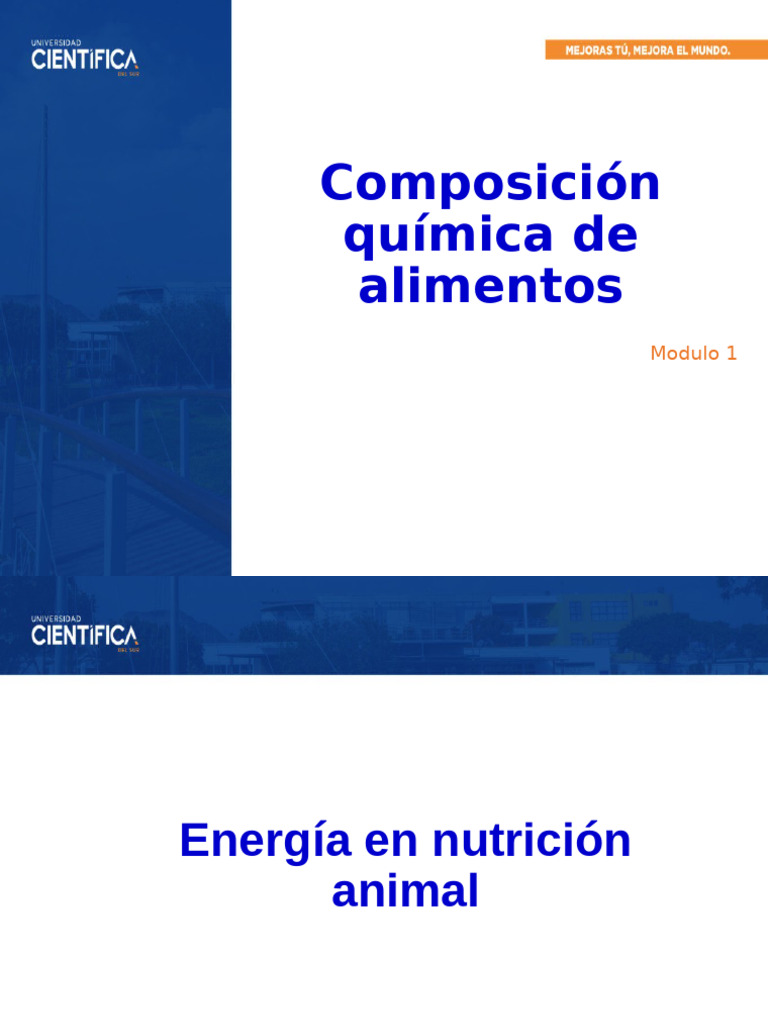 Clase 2 Energia Ajustado | PDF | Alimentos | Metabolismo