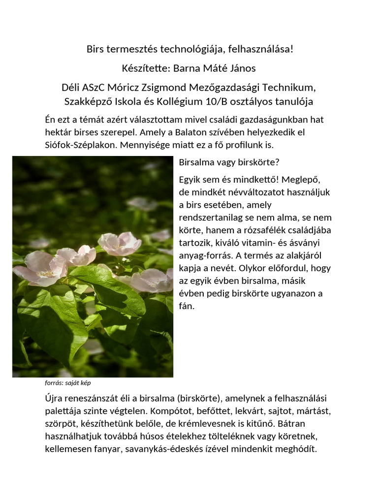 Birs Termesztés Technológiája | PDF