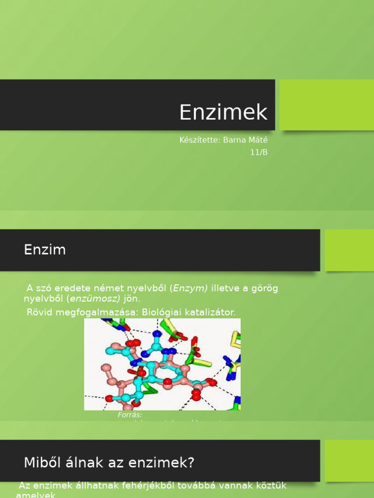 Enzimek | PDF
