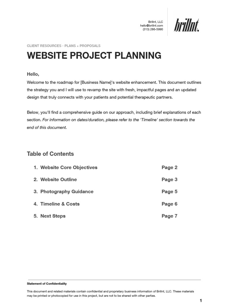 Brillnt Example Plan Outline | PDF | Websites | Computing