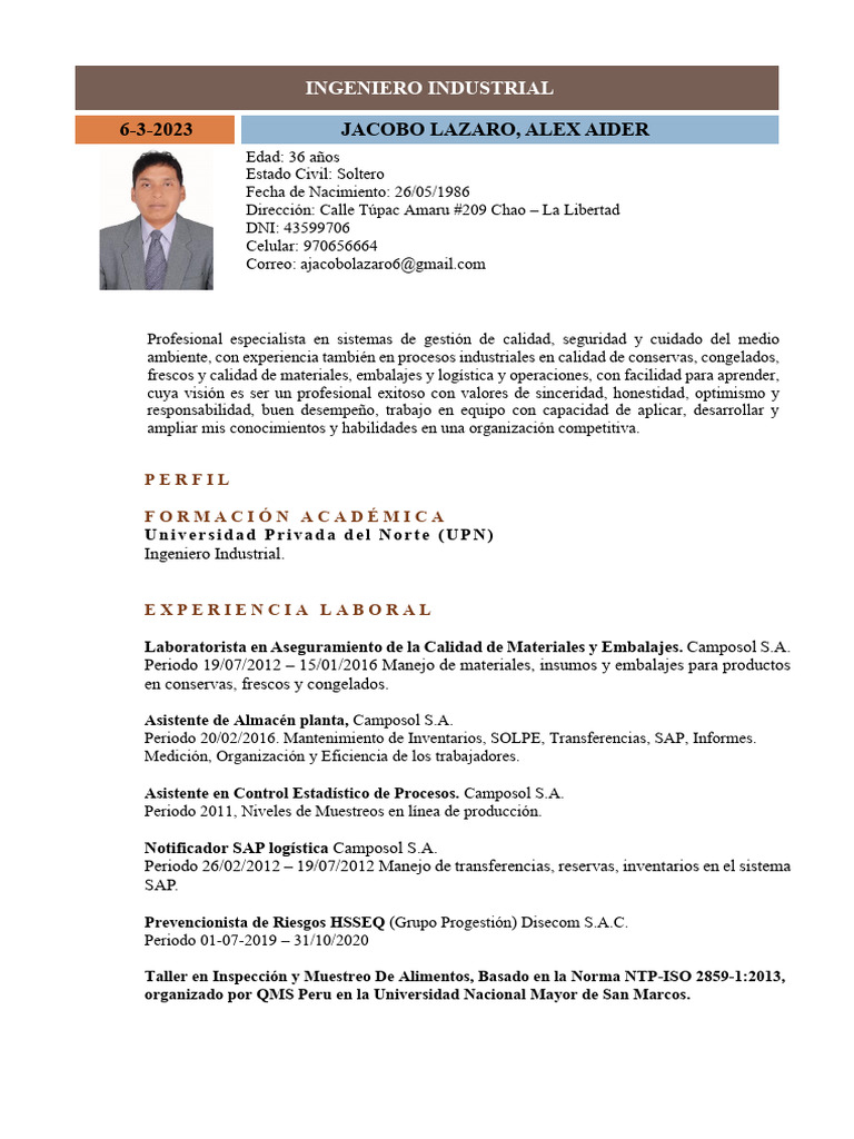 C.V. Alex A. Jacobo | PDF | Logística | Business