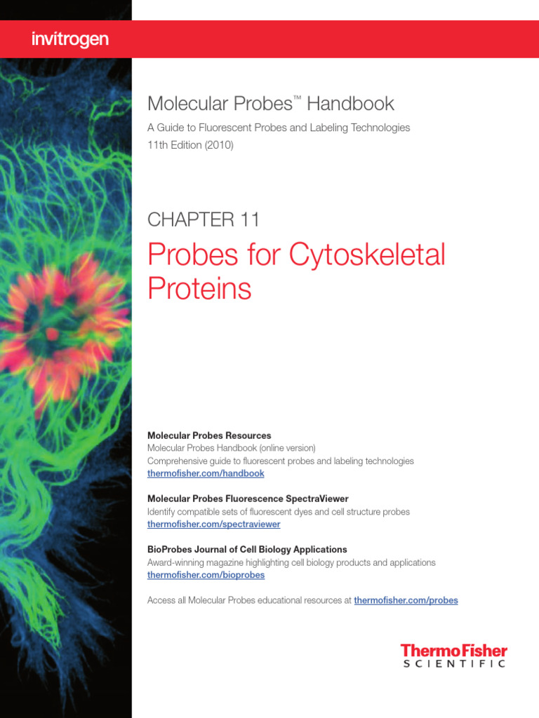 Cytoskeletal Protein Probes | PDF | Gene Expression | Fluorophore