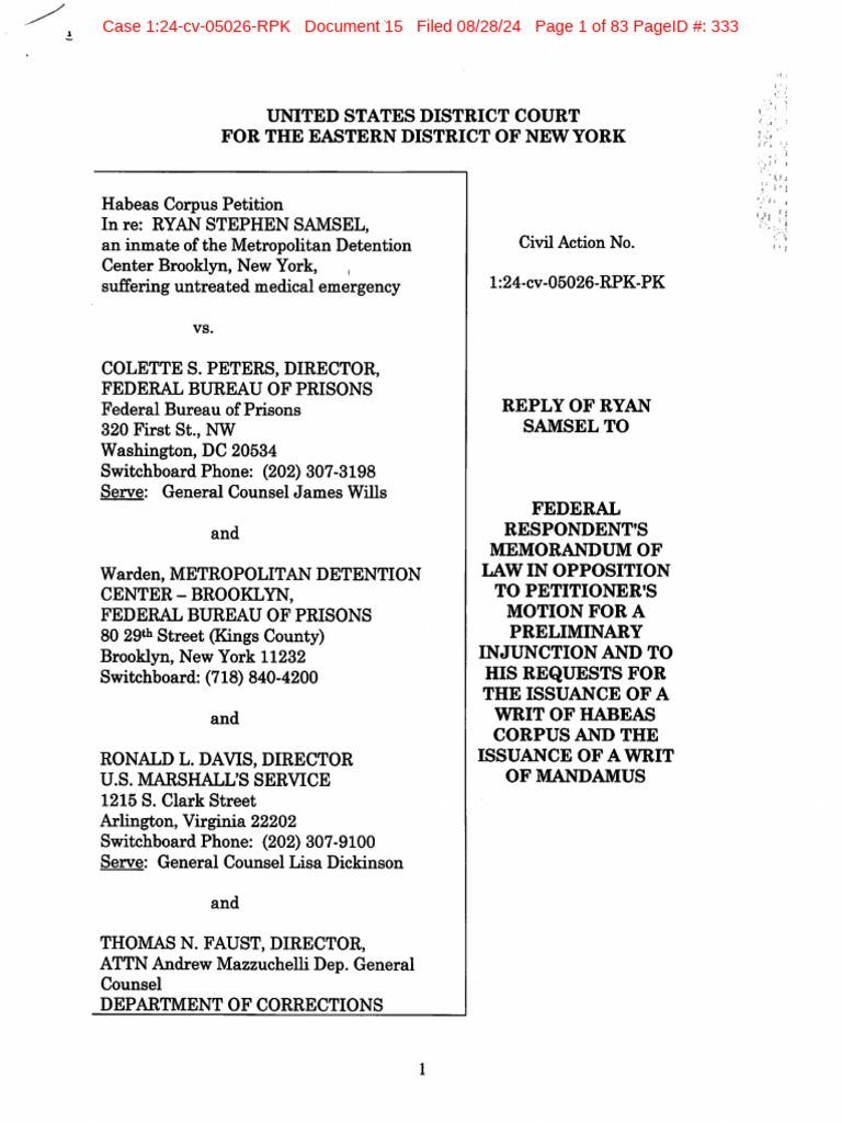 Case 1:24-cv-05026-RPK Document 15 | PDF | Technology & Engineering