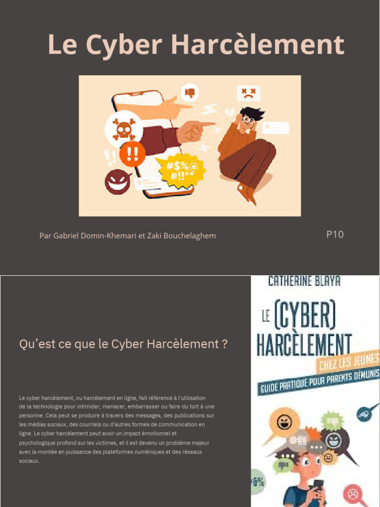 Comprendre le Cyber Harcèlement | PDF | Cyberharcèlement | Harcèlement