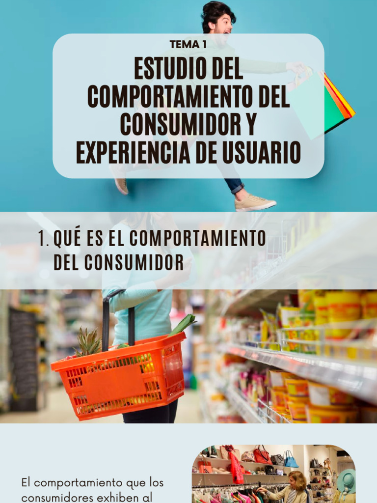 TEMA 1 ESTUDIO DEL COMPORTAMIENTO DEL CONSUMIDOR | PDF | Usabilidad | Cerebro