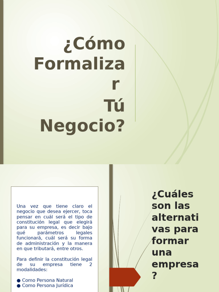 Cómo formalizar tu negocio en Chile | PDF | Business