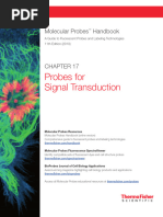 Swiss Target Prediction Overview | PDF | Protein Kinase | Receptor ...