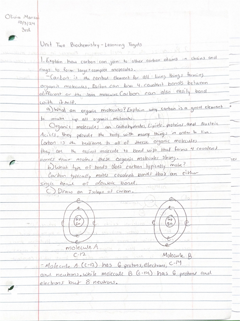 Unit Two Biochemistry | PDF