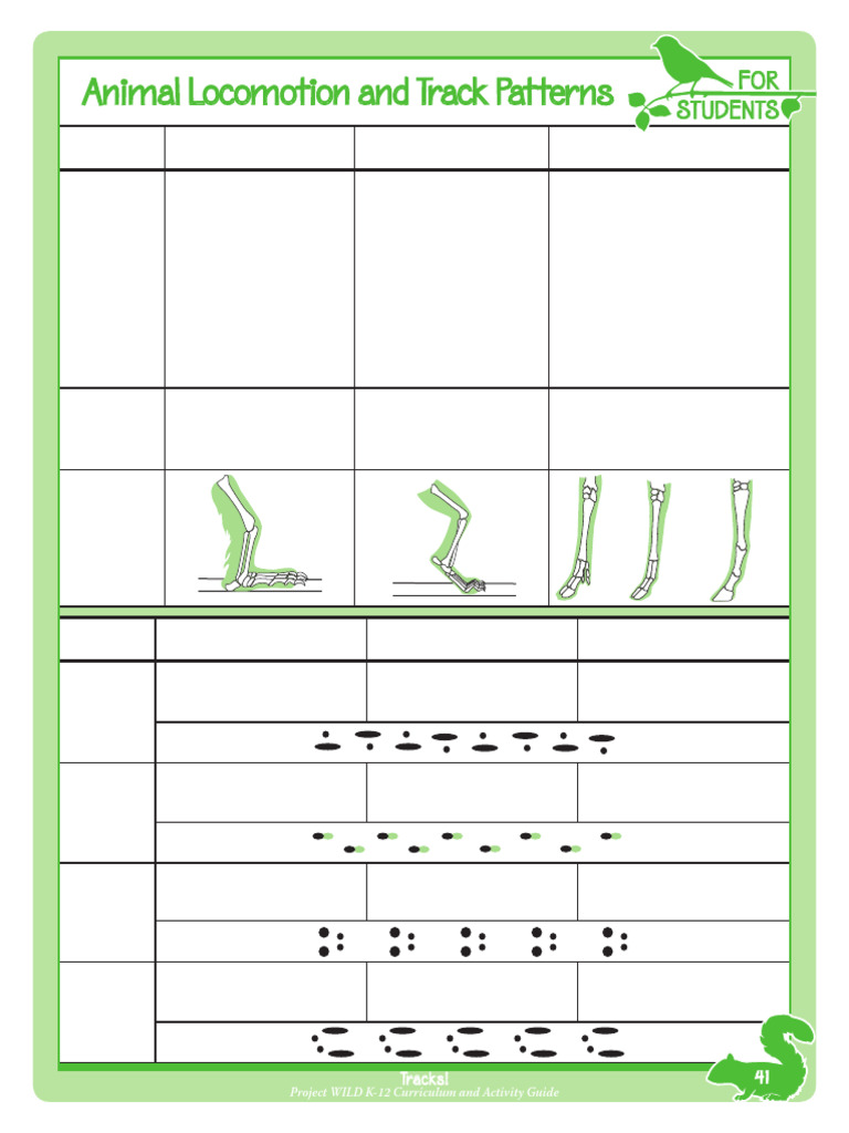 Animal Locomotion and Track Patterns | PDF | Terrestrial Locomotion