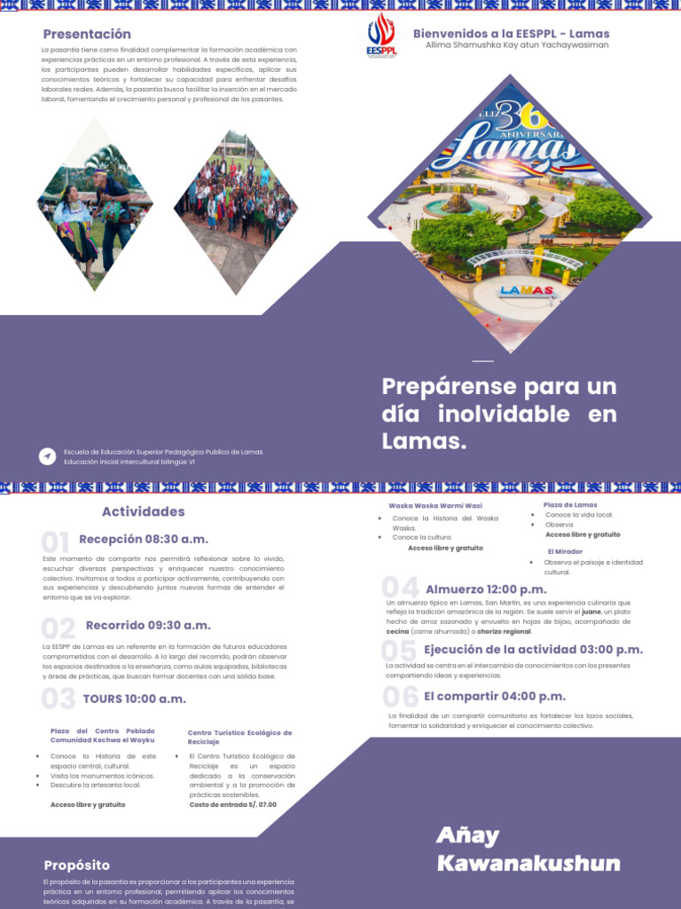 Programa Diptico | PDF