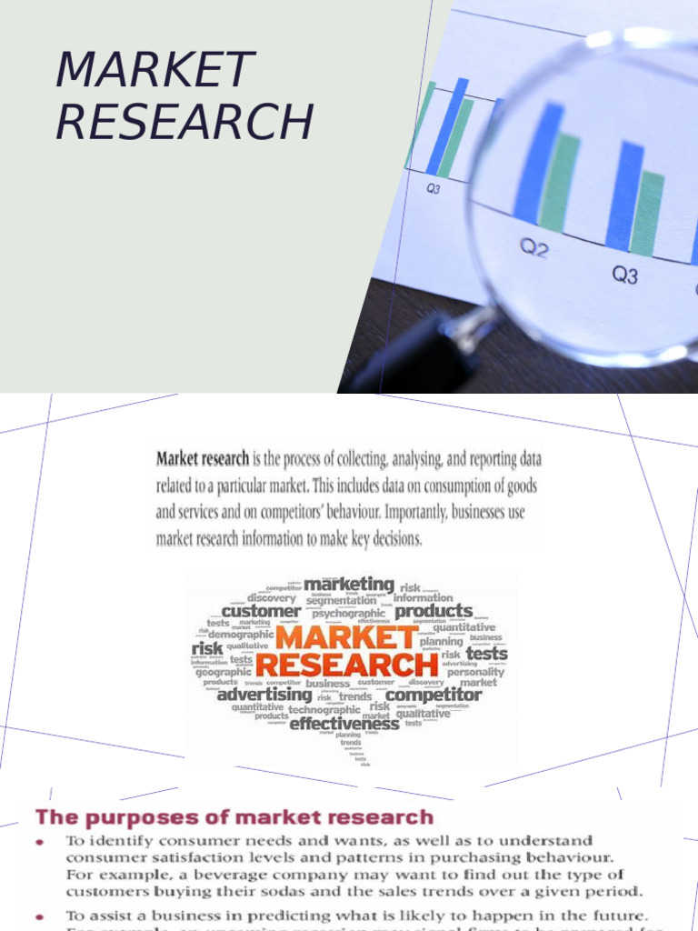 Market Research 2024 | PDF