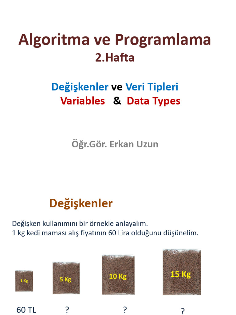 Hafta 02 Değişkenler Ve Veri Tipleri | PDF