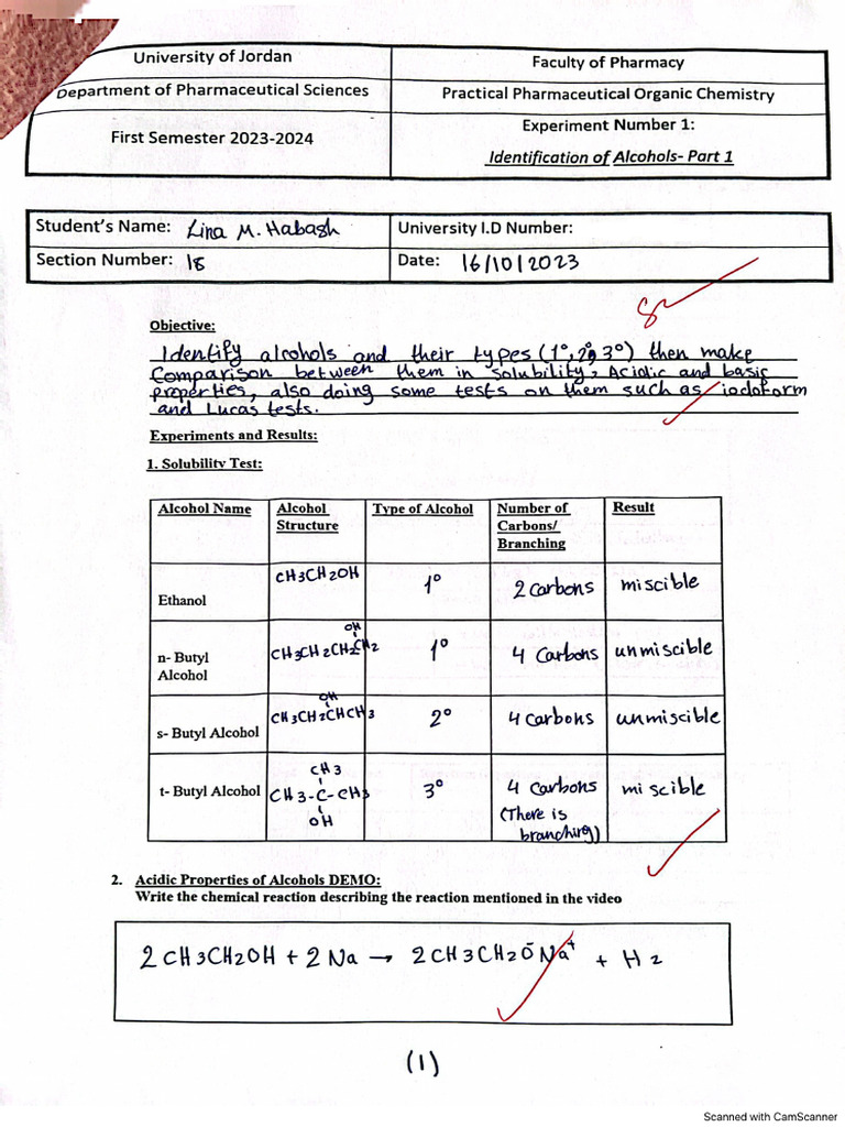Portfolio (1st Semester 2024) | PDF