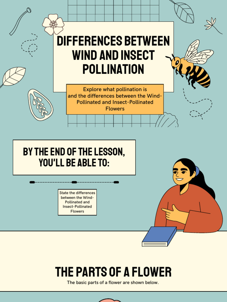 Differences Between Wind and Insect Pollination | PDF | Pollination ...