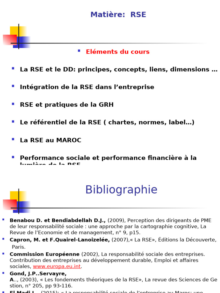 RSE et Développement Durable au Maroc | PDF | Responsabilité sociétale ...