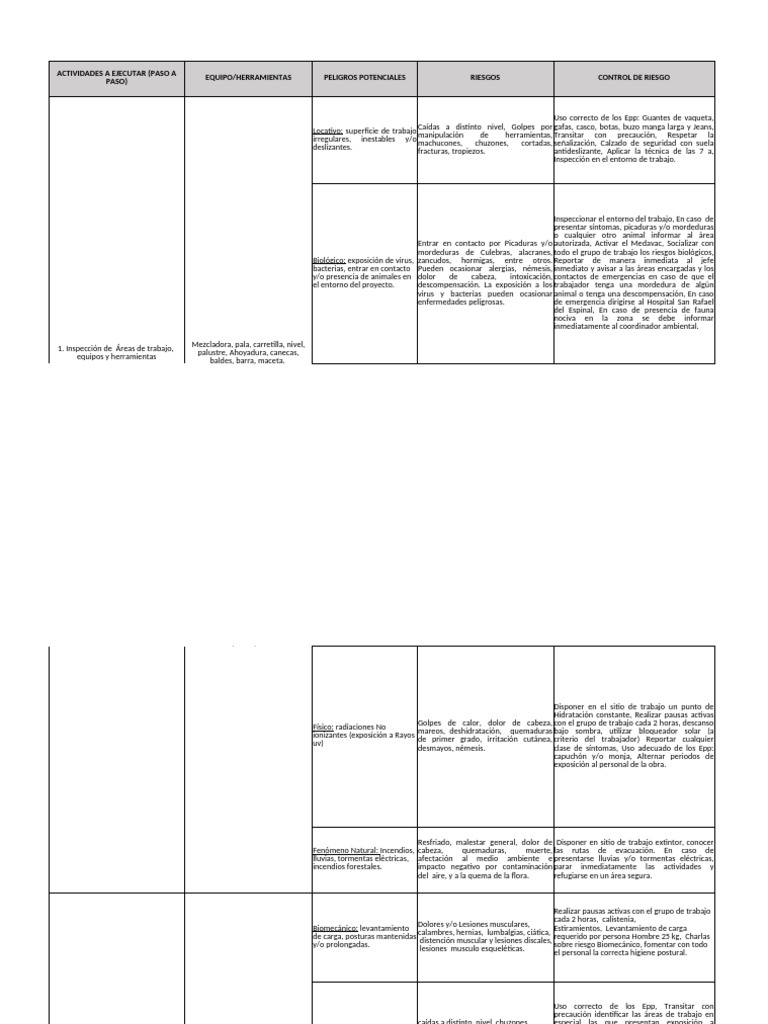 Ats Mezcla Excel | PDF | Dolor lumbar | Medicina CLINICA