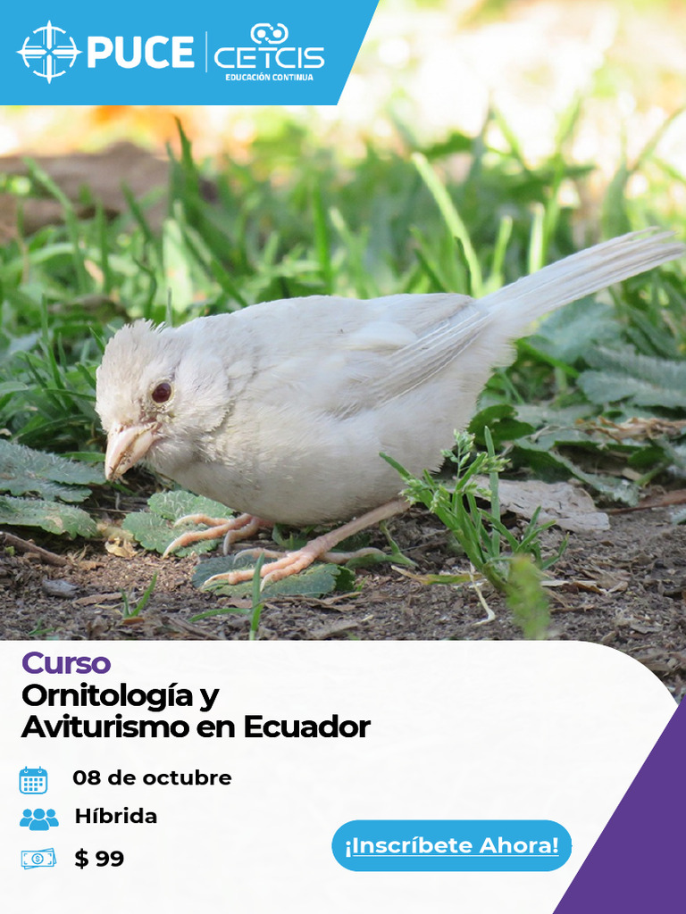 Curso de Ornitología y Aviturismo en Ecuador | PDF | Ornitología | Aves