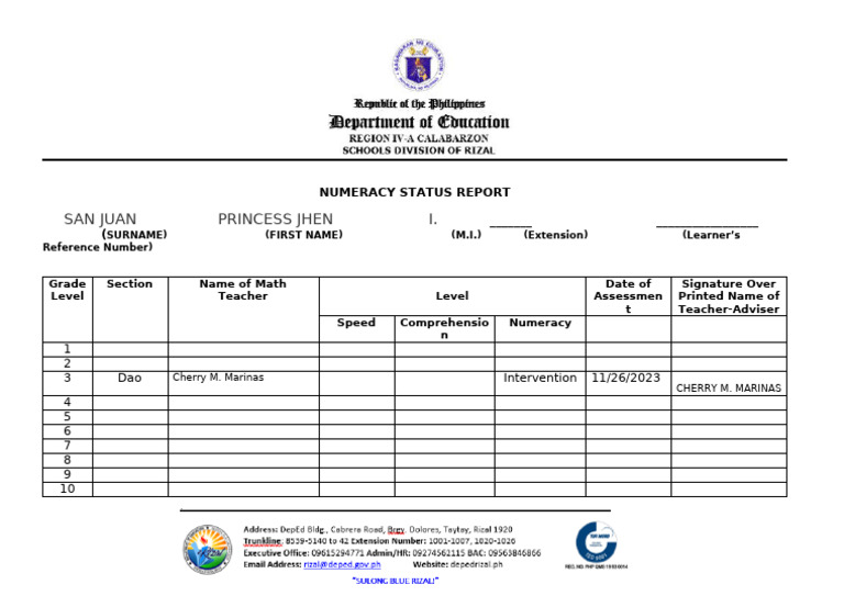 NUmeracy Status Report | PDF