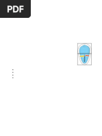 Formación de la Notocorda | PDF