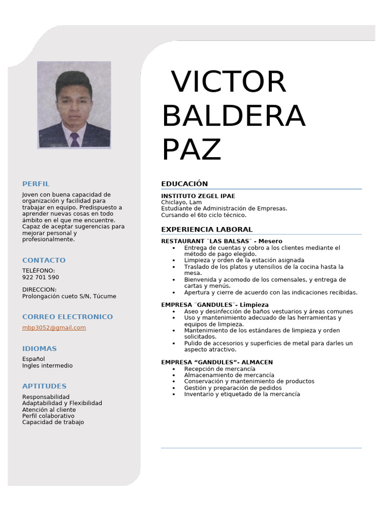 CV Victor | PDF