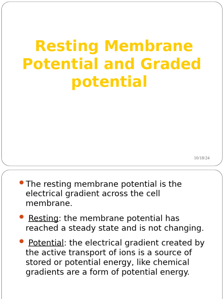 Neuroscience Students' Guide | PDF | Membrane Potential | Depolarization
