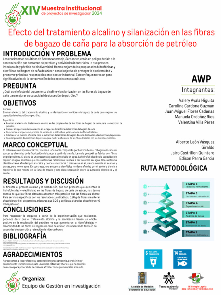 Poster AWP 2024 | PDF