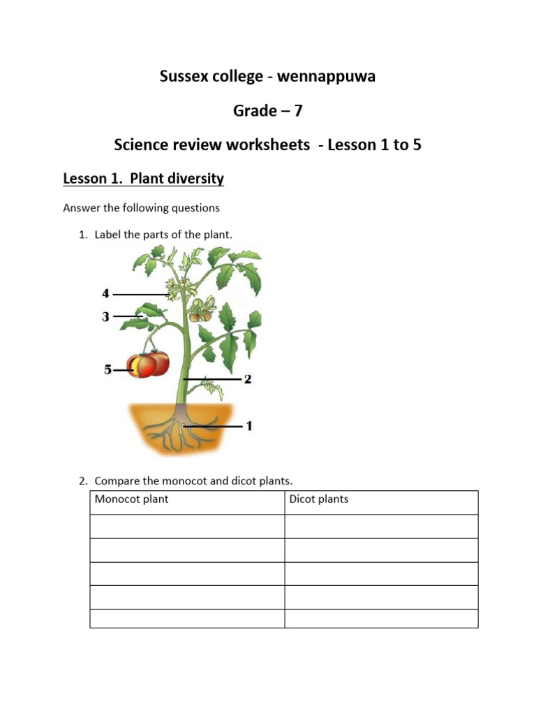 Grade 7 Science Worksheets | PDF | Seed | Botany