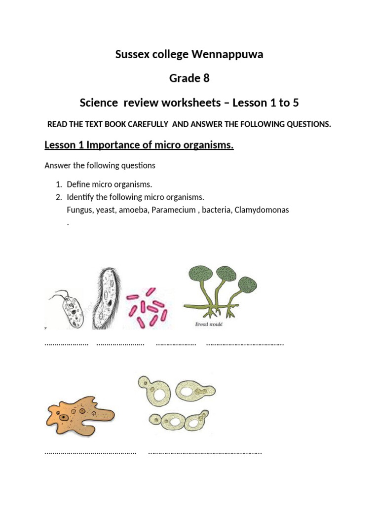 Grade 8 Science Review Worksheets | PDF | Sound | Waves
