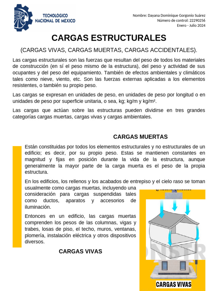 Cargas Estructurales: Tipos y Características | PDF | Kilogramo | Ingeniería de Edificación