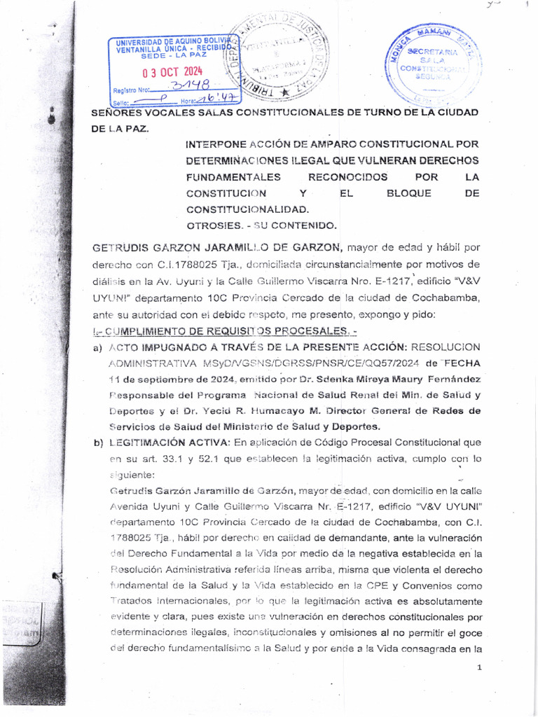 Memorial de Acción de Amparo Constitucional - Resolución de Casos | PDF | Justicia | Crimen y ...