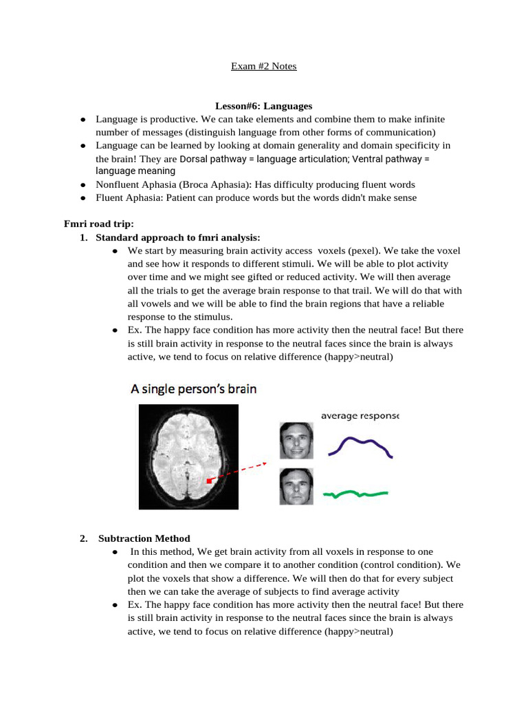 Human Neuro Notes Exam #2 | PDF | Attention | Hippocampus