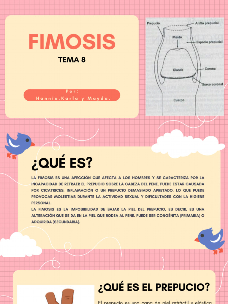 Fimosis | PDF