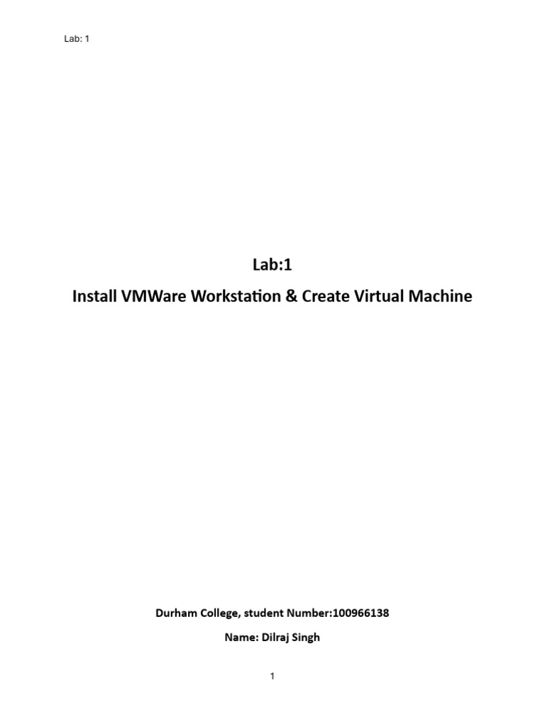 Lab | PDF | Virtual Machine | Windows 10
