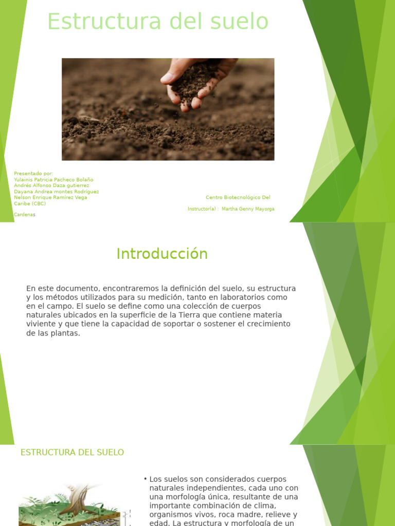 Estructura Del Suelo | PDF | Suelo | Permeabilidad (Ciencias de la Tierra)
