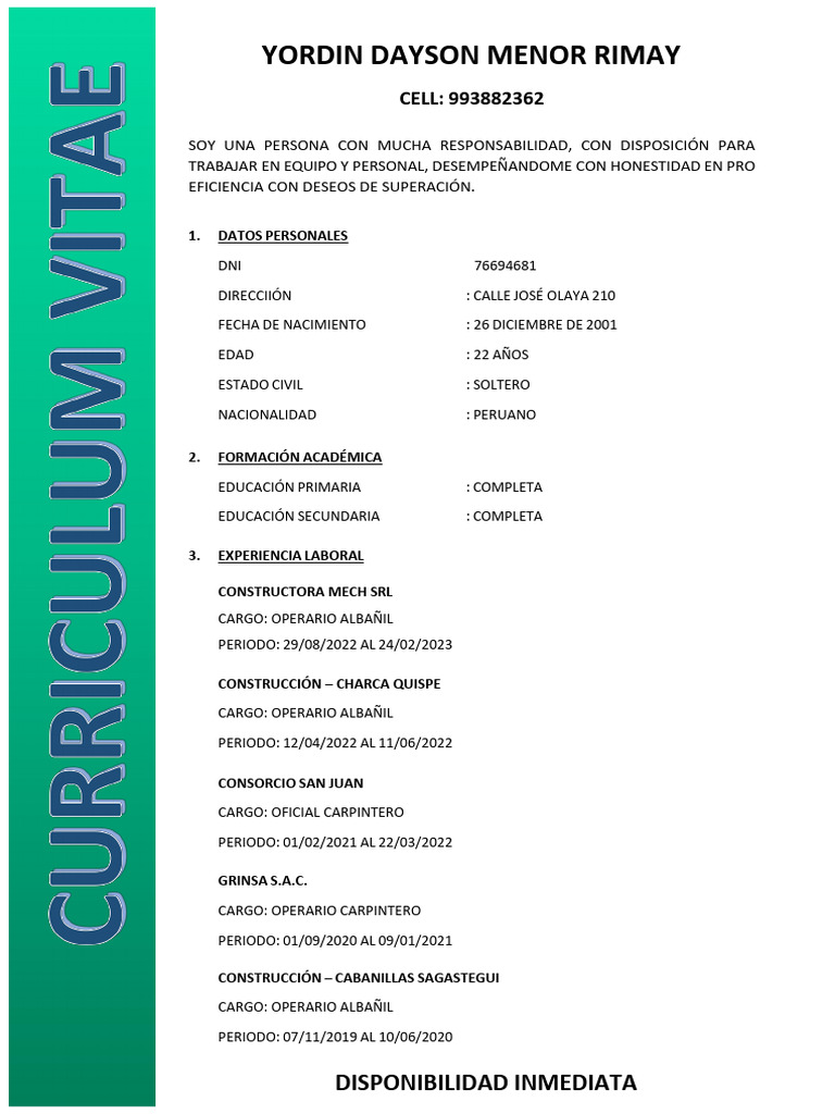 Yordin Dayson Menor Rimay - CV2024 | PDF